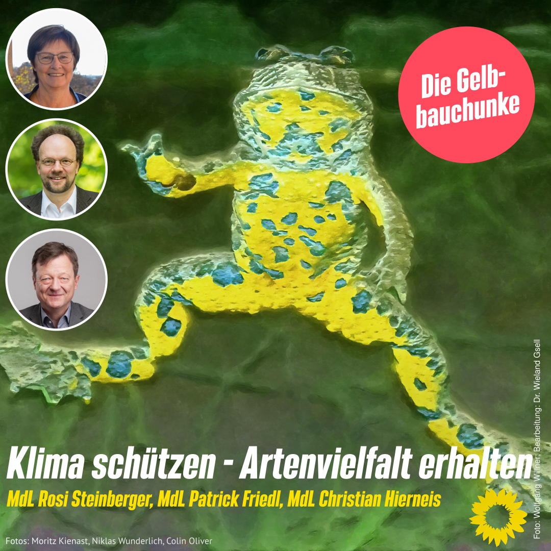 Tier des Monats Mai: Unke – Patrick Friedl